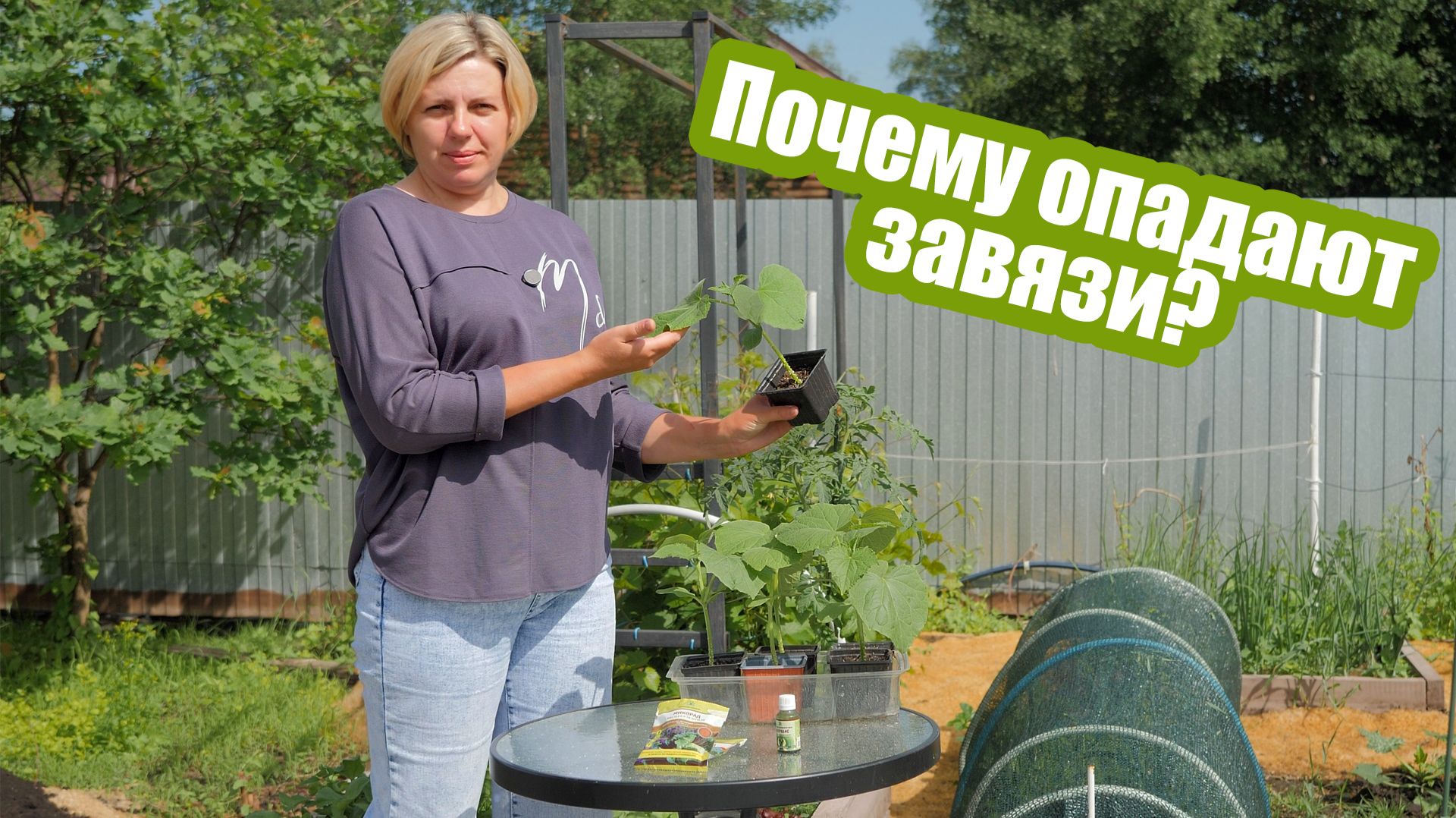 Завязи огурцов опадают? Вот как это исправить!