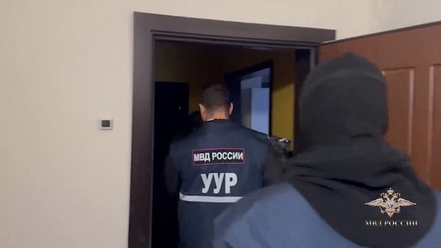 Ирина Волк: Полицейские пресекли деятельность трех групп аферистов в сфере автострахования