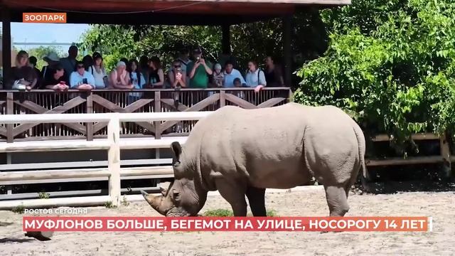 Ростов сегодня: вечерний выпуск. 17 июня 2026
