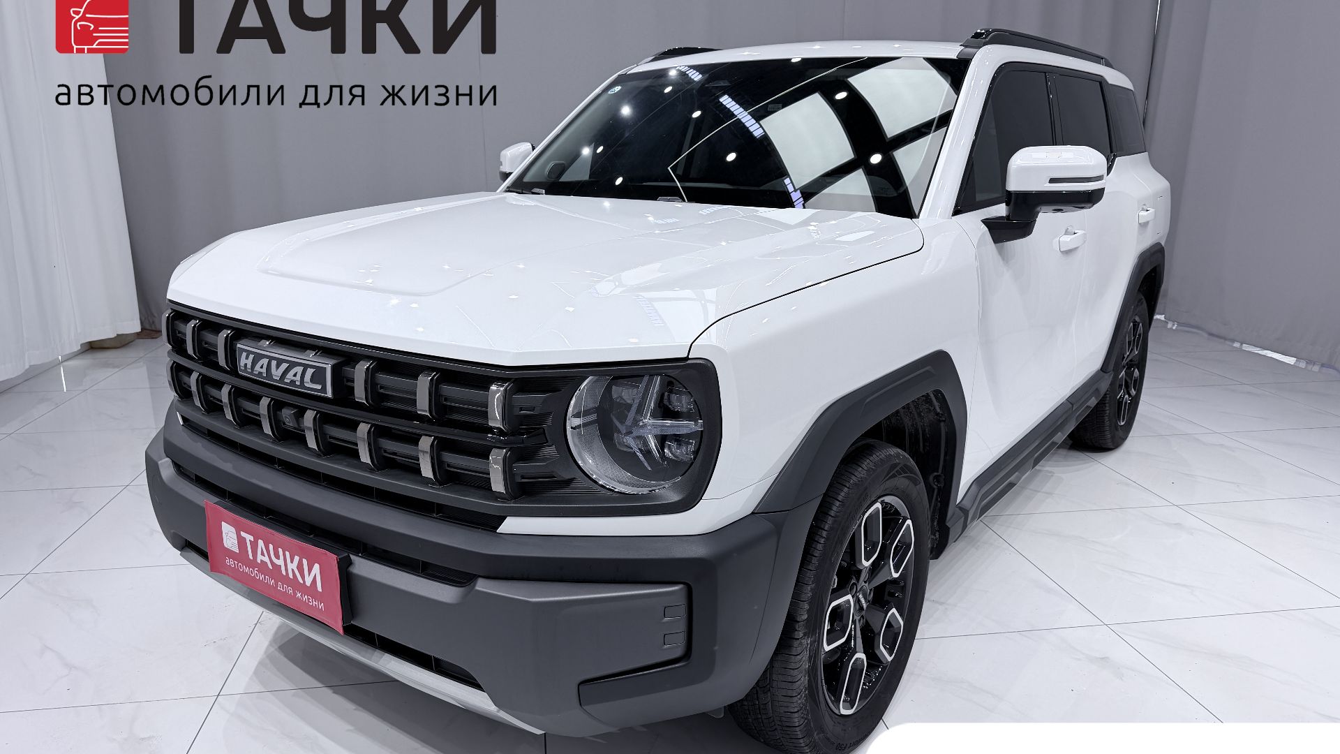 HAVAL Cool Dog