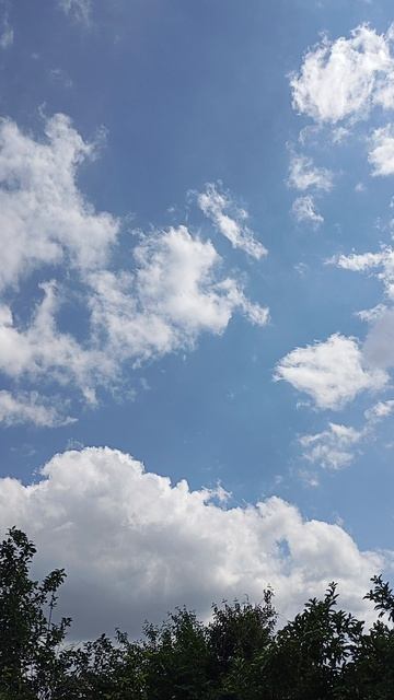 Мечта