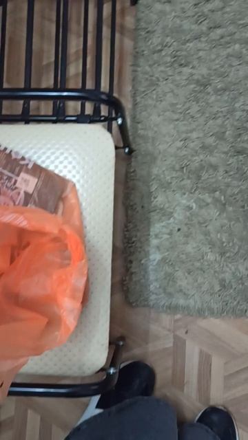 #СОБАКА Очень счастливая Айза. Мама принесла вкусняшки.
