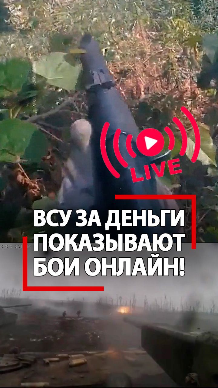 Убит в прямом эфире! Бои ВСУ онлайн за деньги! Ставки на смерть
