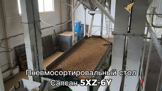Сортировка дробленого миндаля на линии "Сапсан"