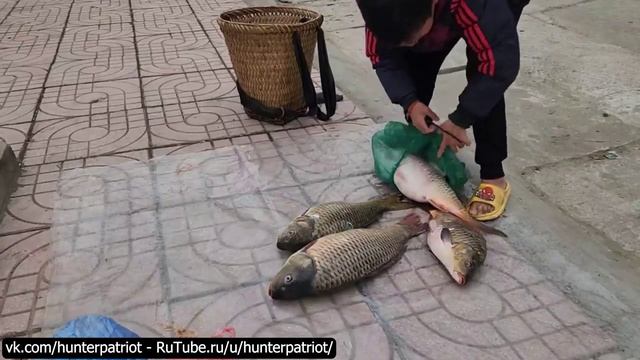 🎣Мастер-класс: Как правильно ставить шестовую сеть на воде для ловли карпа Жизнь и промысел в горах