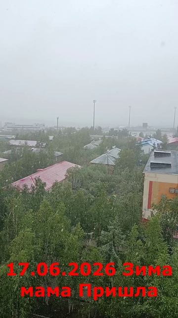 25-17 Зима Мама