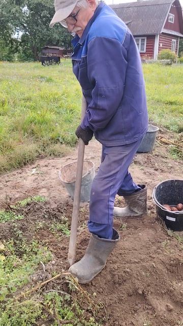 На Картошку ©20250904
