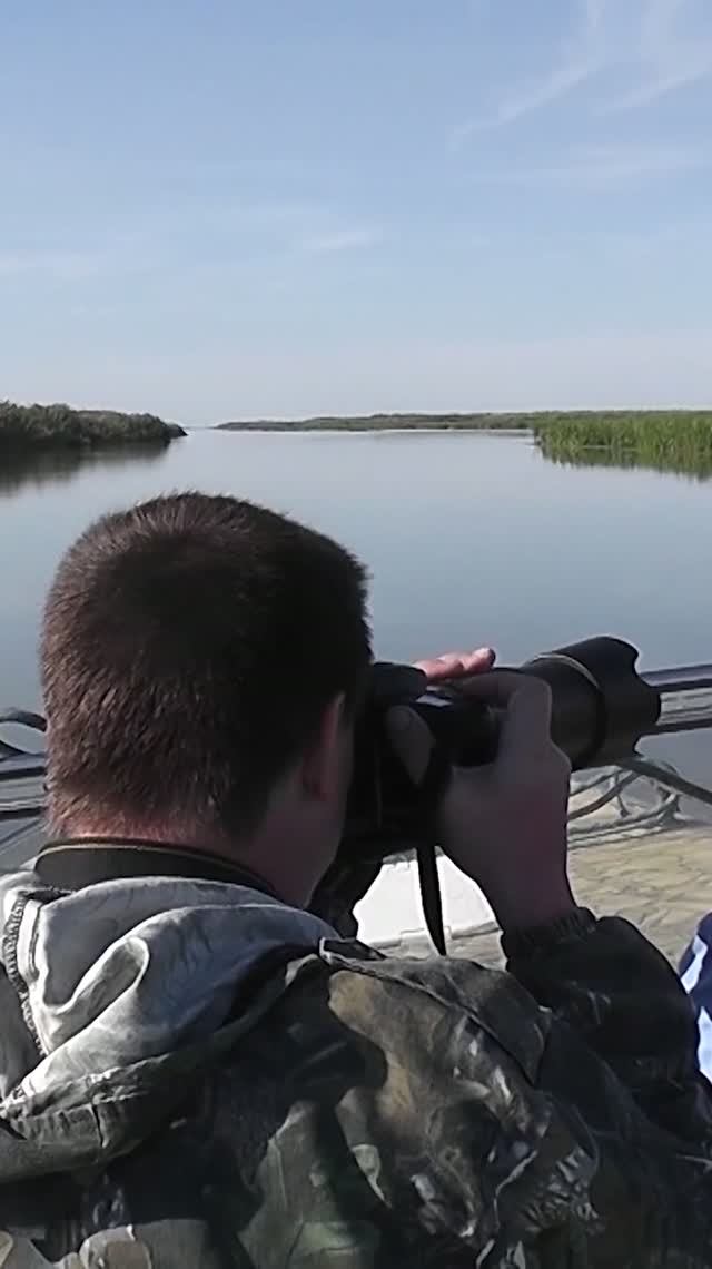За минуту, по раскатам Волги, время пошло!