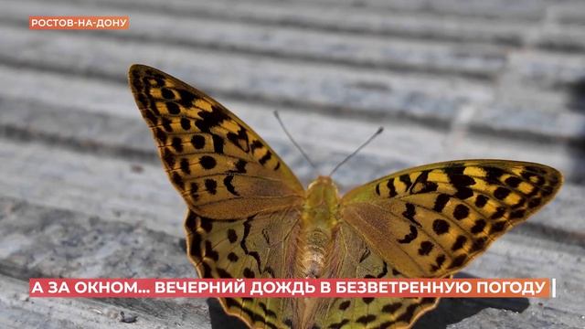 А за окном. 18 июня 2026