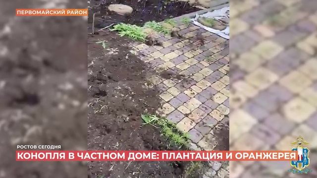 Ростов сегодня: дневной выпуск. 18 июня 2026