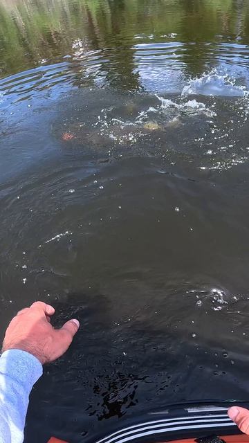 БЕЗ ПОДСАКА...