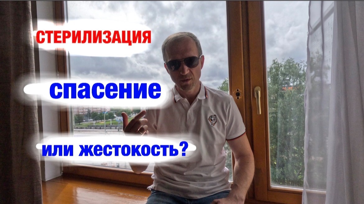 Домашние животные.