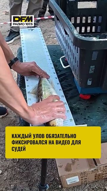 В посёлке близ Нижнекамска определили лучших охотников за хищной рыбой