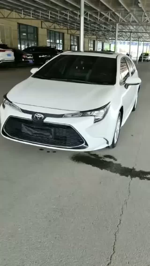 TOYOTA LEVIN