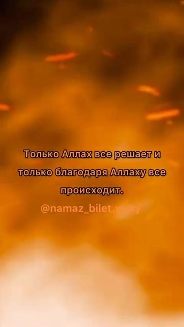 Вера размером с пылинку → 👤 #Namaz_bilet_v_ray