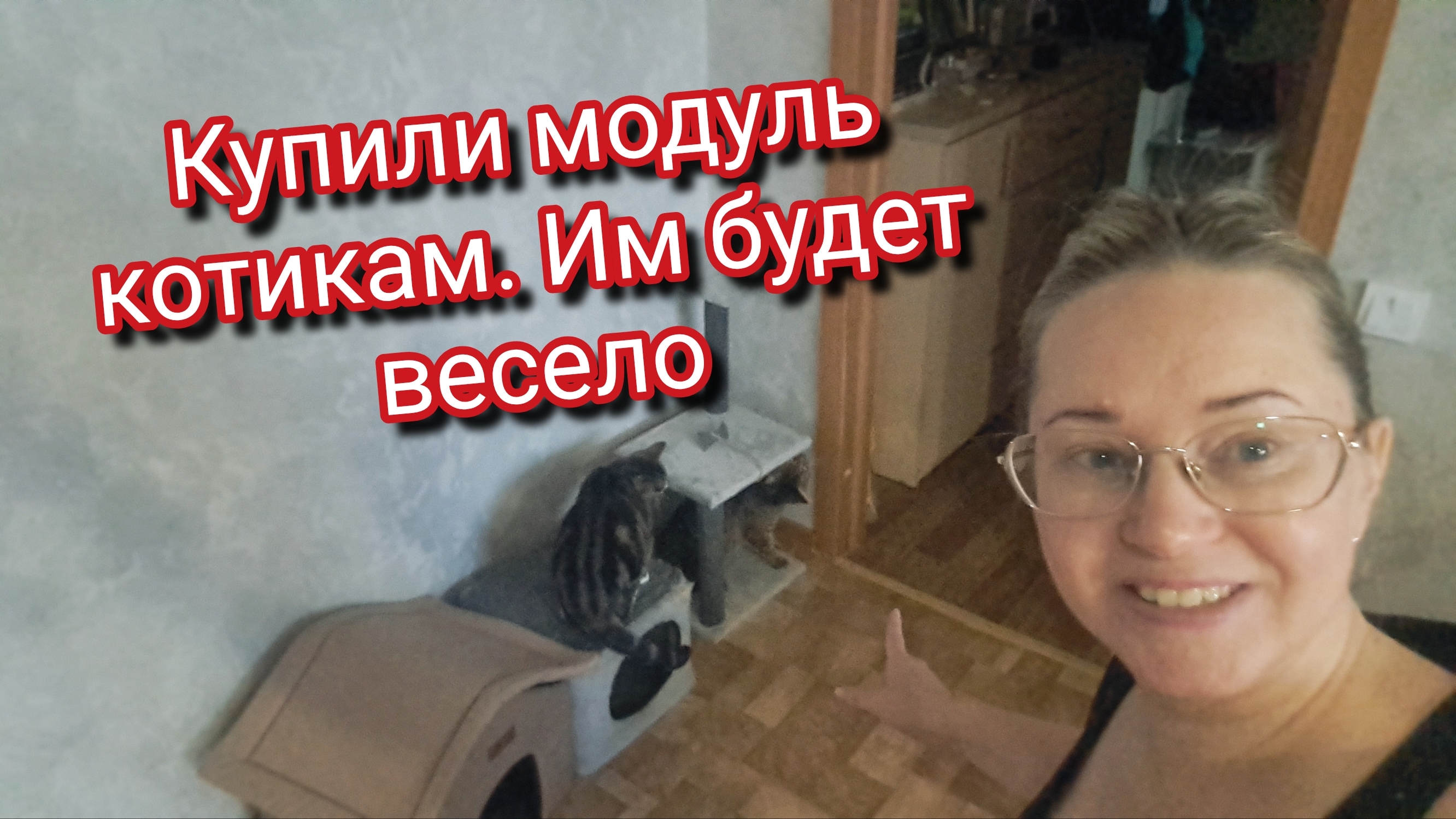 Купили модуль котикам.Им будет весело
