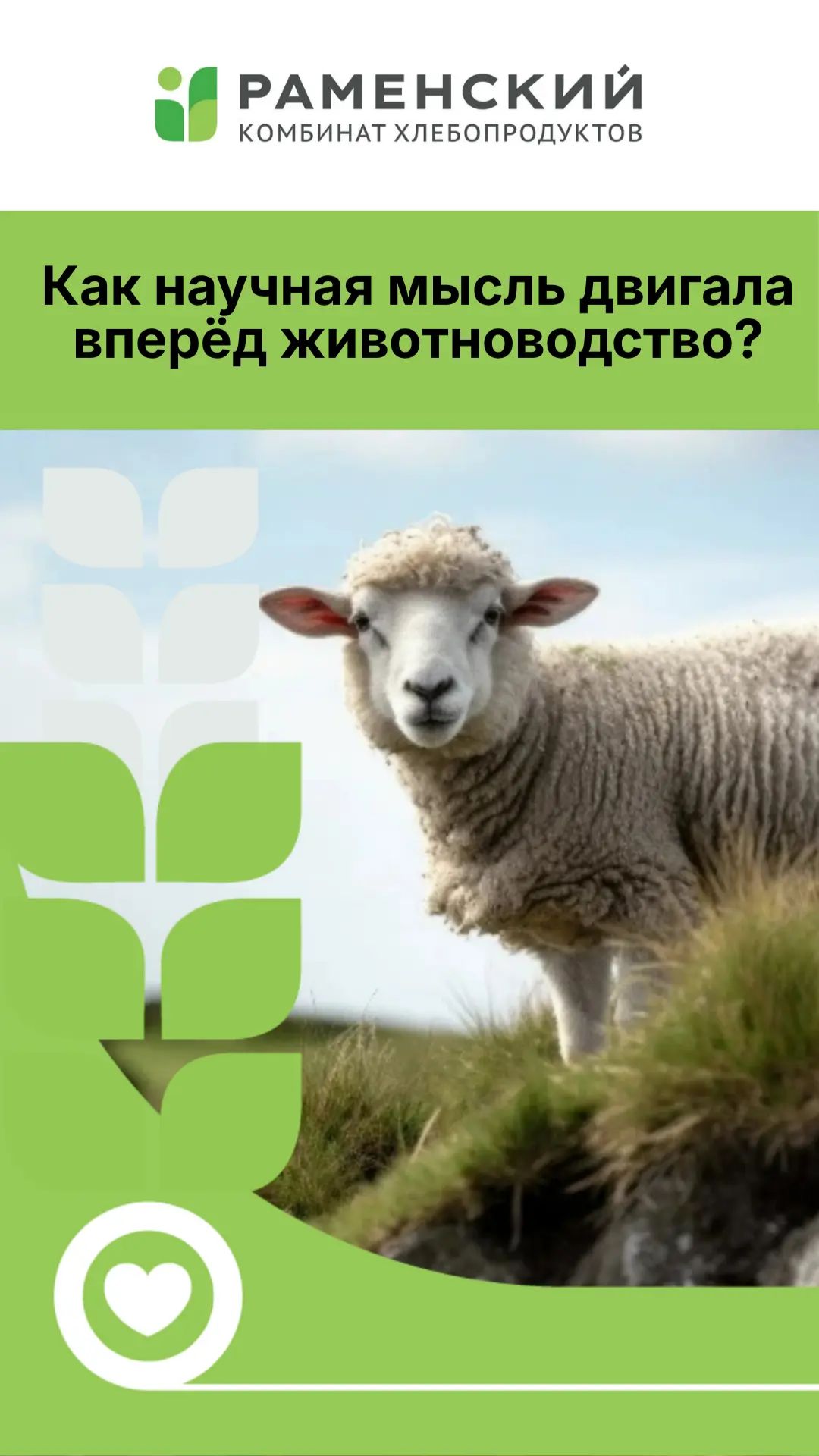 Как научная мысль двигала вперёд животноводство?