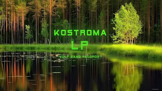 Volf Gang Records®: Kostroma LP