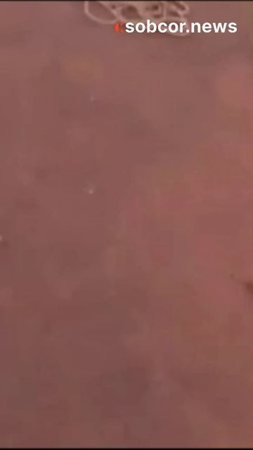 Девушка погибла в бразильском штате Сан-Паулу