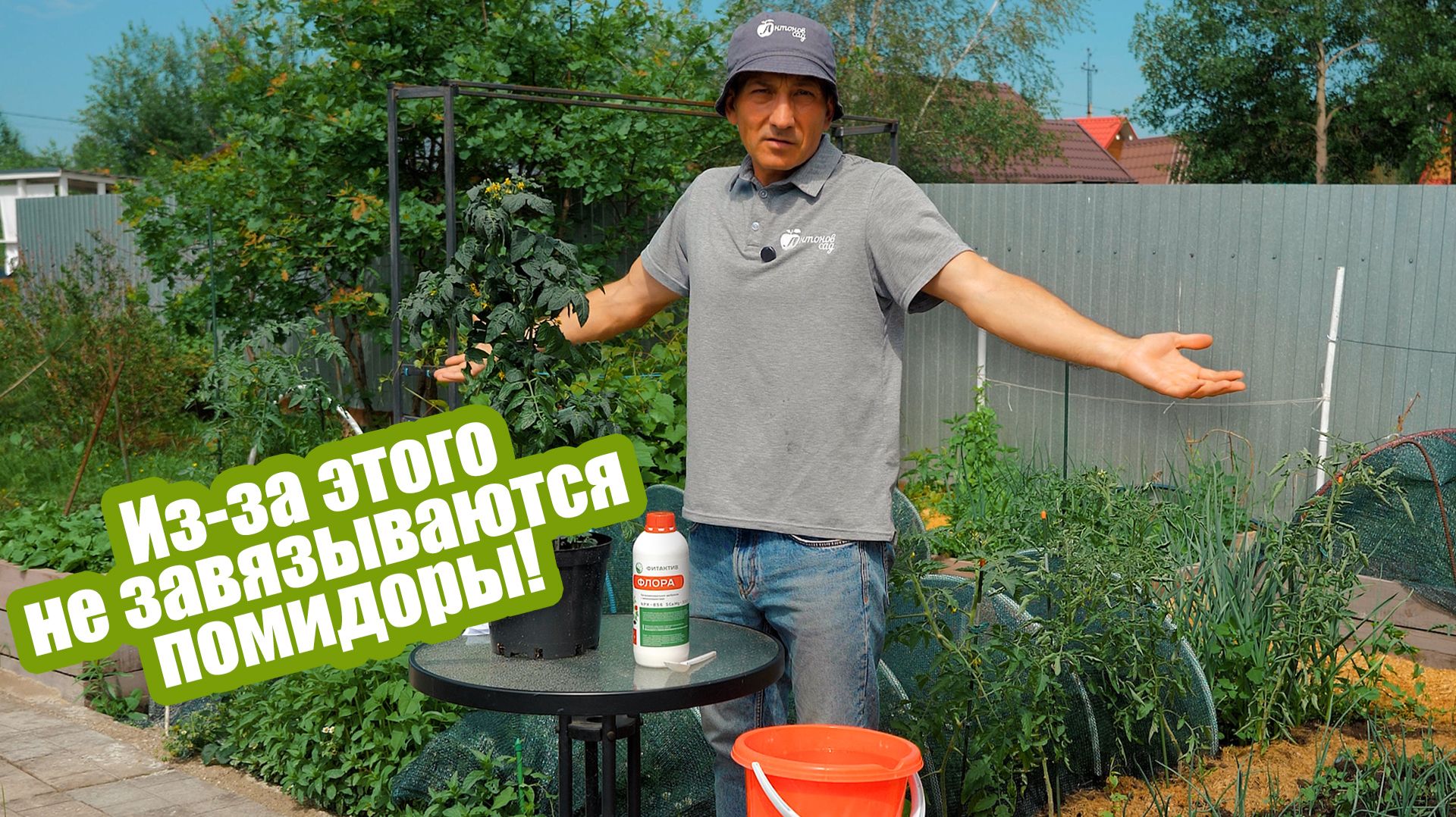 Помидоры не завязываются из-за этих ошибок!
