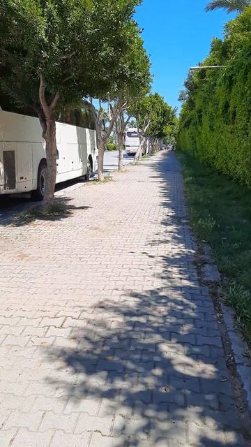 Турецкий ежик, неожиданная встреча!  #turkey #türkiye #турция #анталья #аланья #travel #traveling