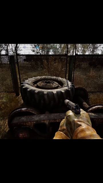 S.T.A.L.K.E.R. 2: ДОБЫЛИ ИМБОВУЮ САЙГУ-Д12 НА 20 Патронов В начале игры патч 1.9