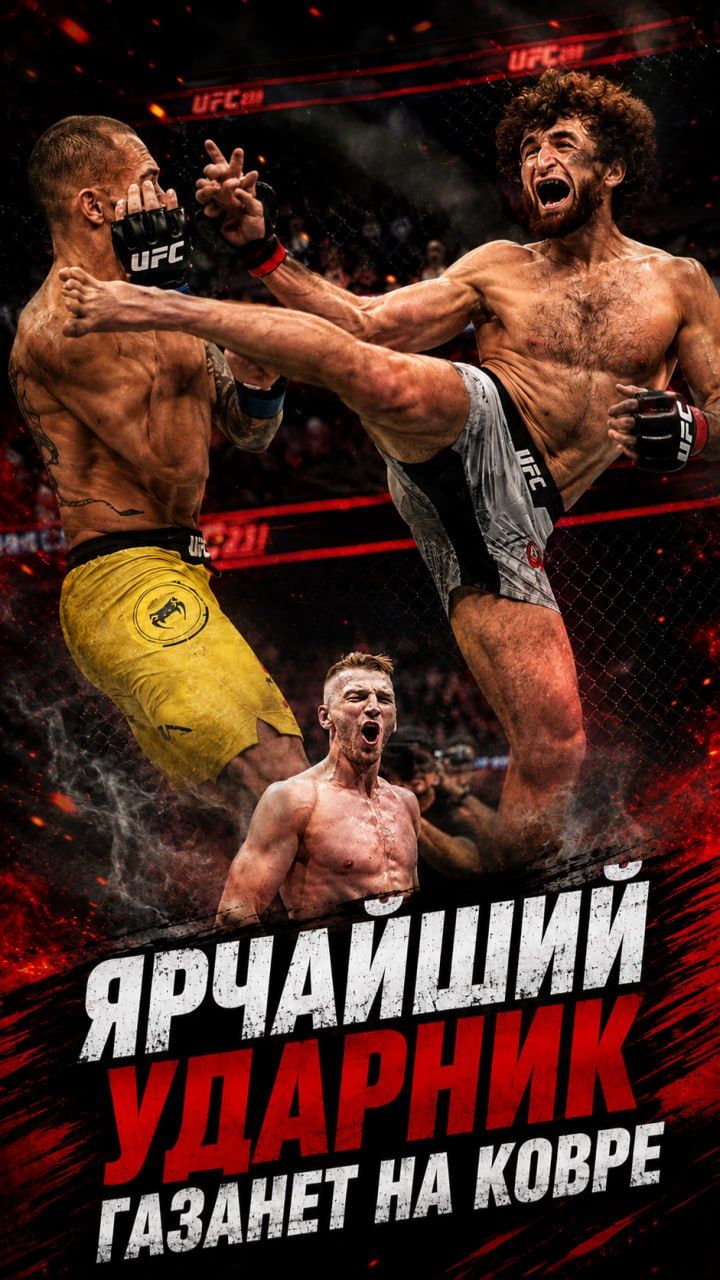 ДОЖДАЛИСЬ! Забит ДЕБЮТИРУЕТ В ACBJJ в ИЮЛЕ против экс-соперника Махачева