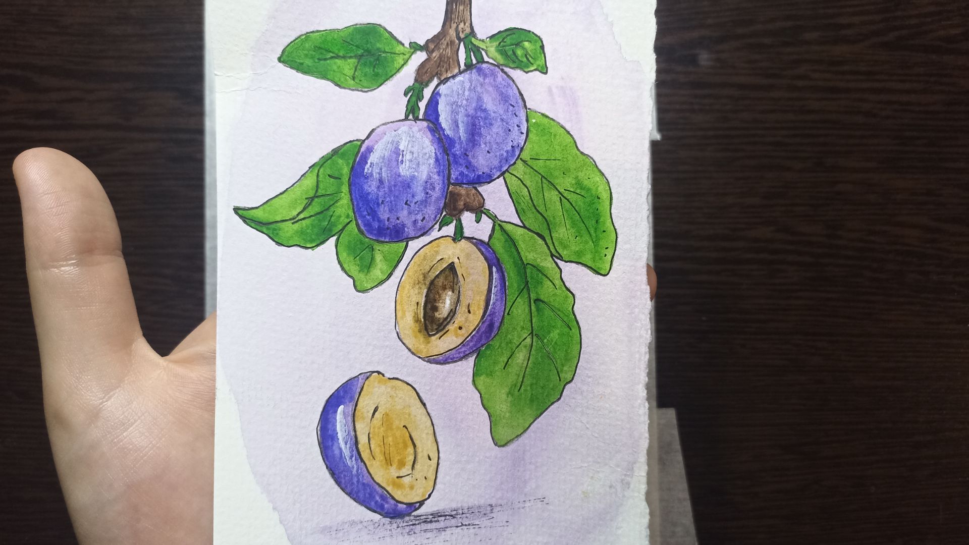 Рисунок акварелью / Сливы