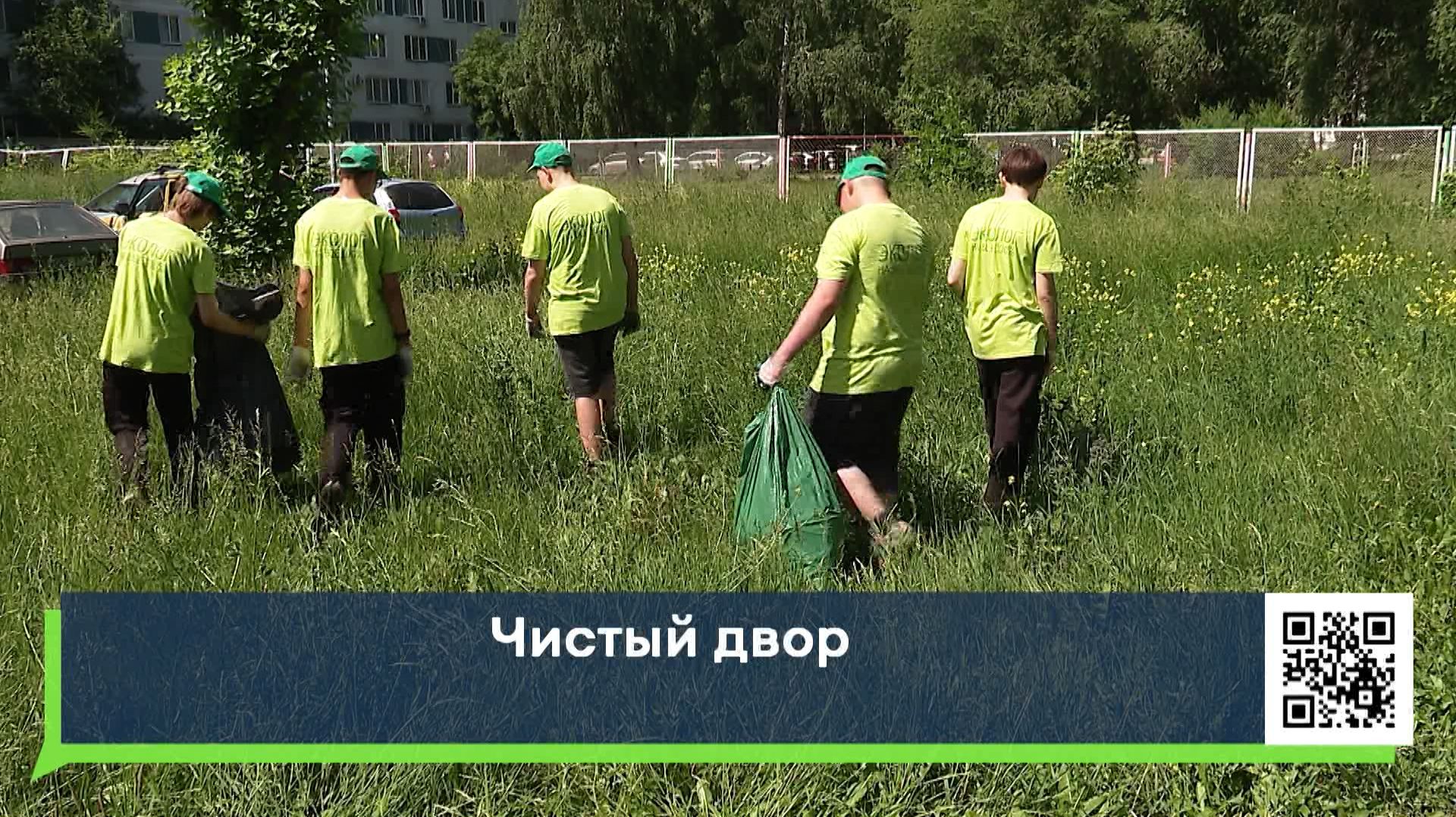 Чистый двор