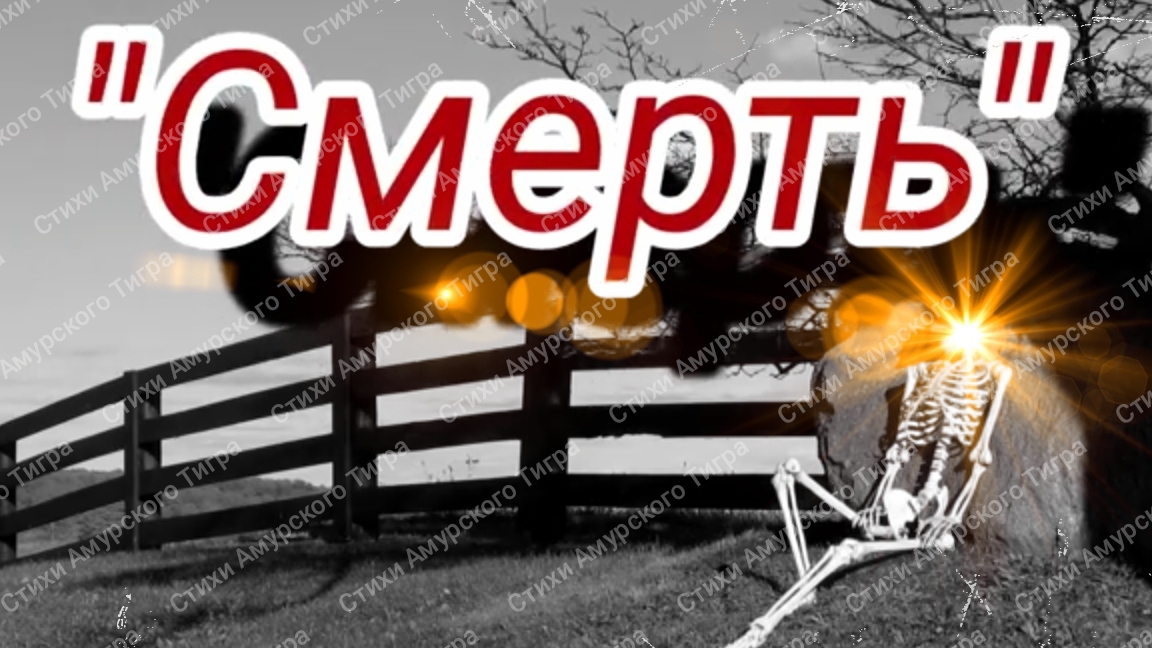 Премьеры