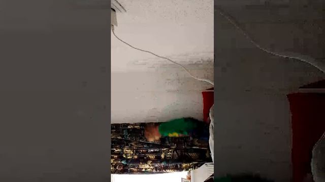 смешные моменты 🤣 первая часть