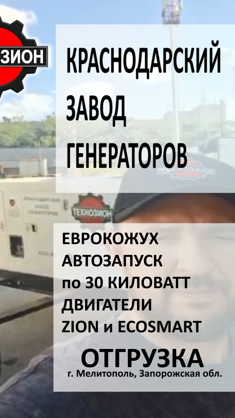 2 Дизельных генераторов "Технозион" по 30 кВт ZION и ECOSMART в еврокожухах с АВР в г. Мелитополь