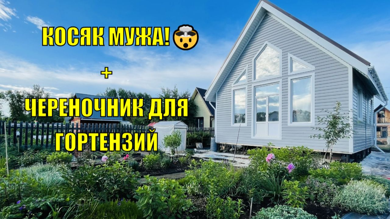 Муж накосячил с вагонкой, но зато сделал новый череночник для гортензий