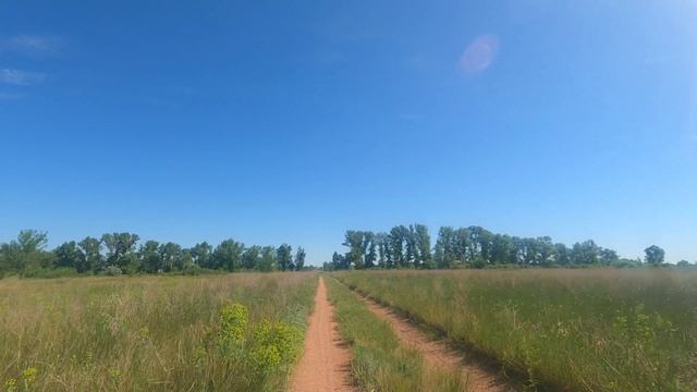 Поездка в сад №15. 😊