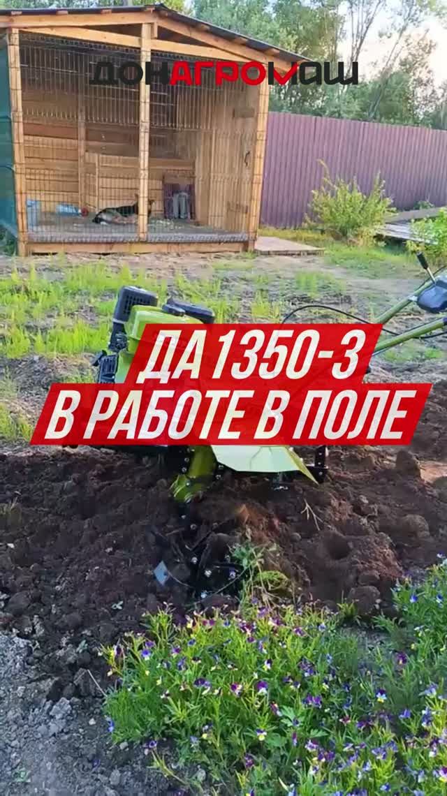 РЕАЛЬНЫЙ ОТЗЫВ НА ДОНАГРОМАШ ДА1350-3 В РАБОТЕ В ПОЛЕ #мотоблок #техника #садоваятехника
