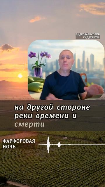 Фарфоровая ночь. Аудиокниги Сиддханты (Вячеслава Чернина)