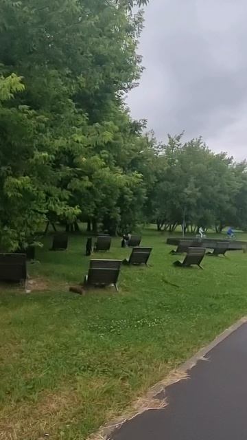 Зона отдыха с шезлонгами в парке у Святого озера