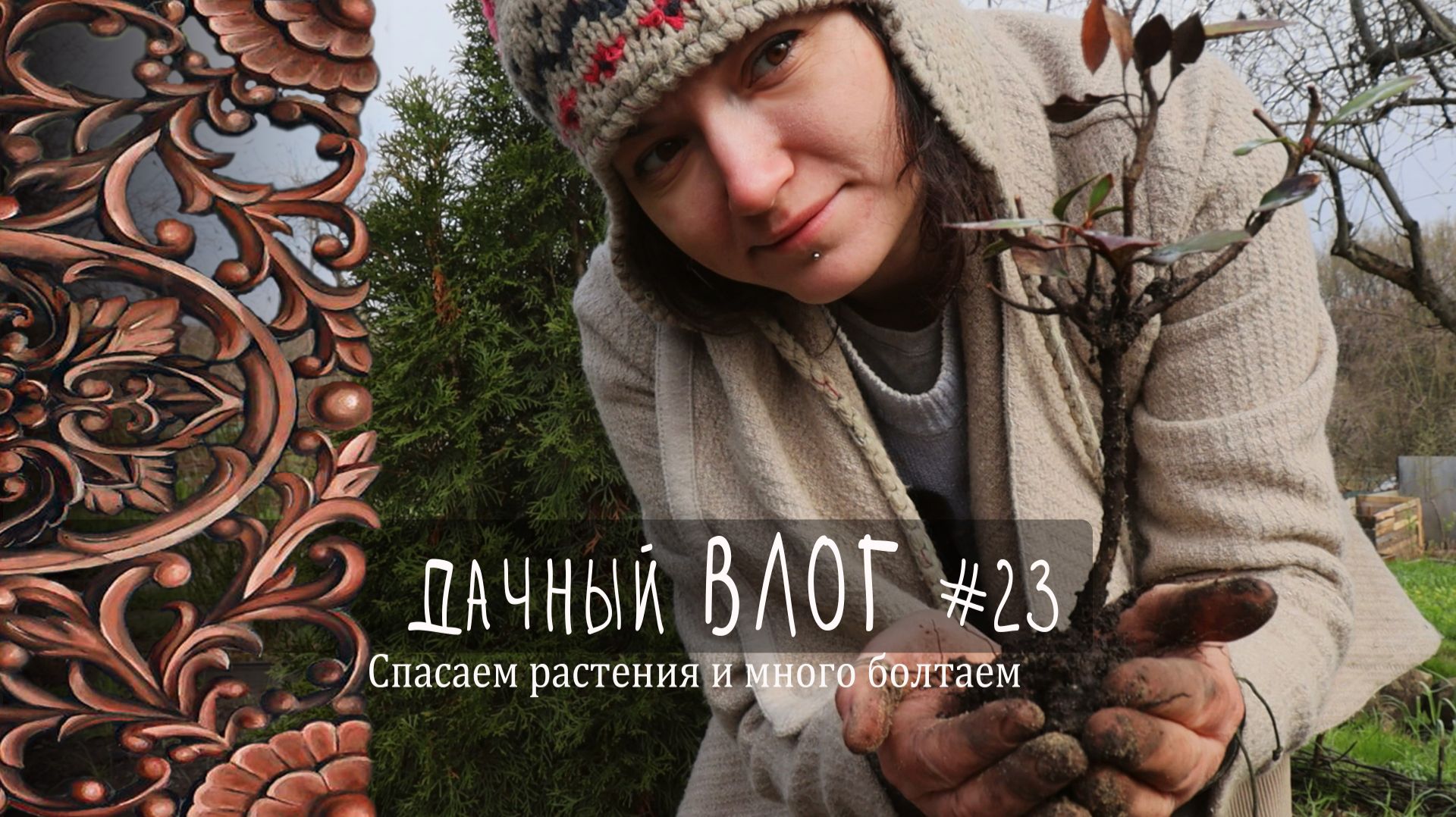23.Как мы начали отпуск: лимончелло в обед, птицы над головой и много садовых дел.