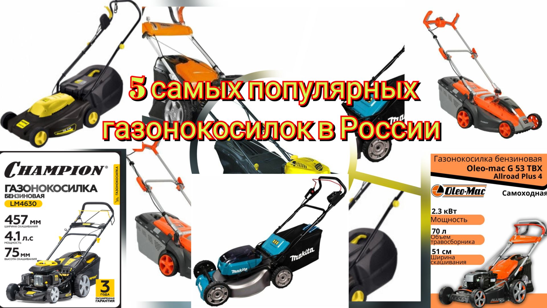 ⚙️5 самых популярных газонокосилок в России