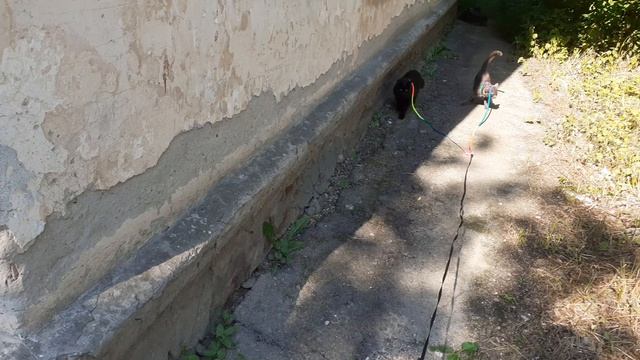 Родной дом обследовали.