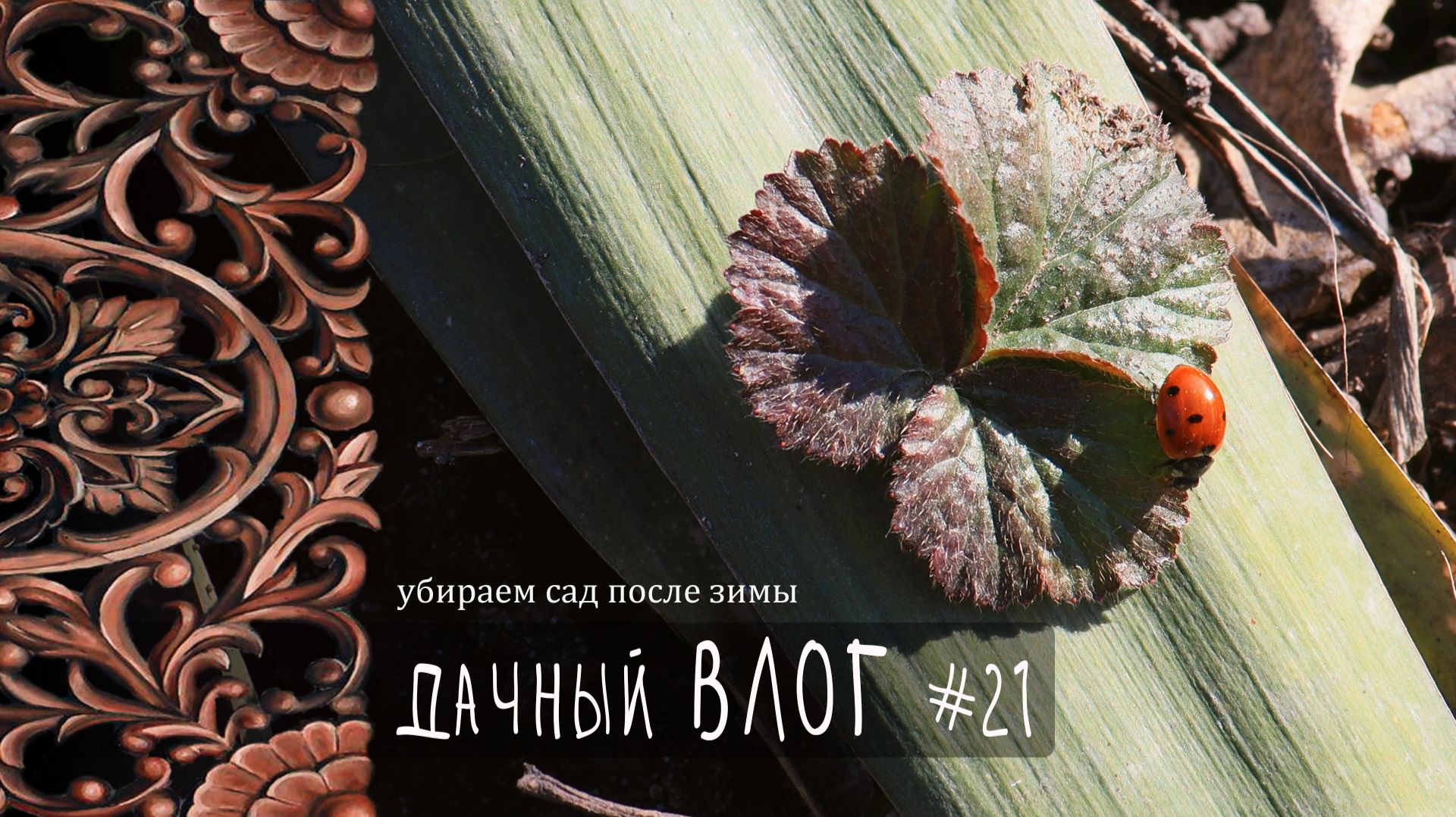 21.Дачные выходные провели в саду ,наконец-то тепло.Готовим участок к лету
