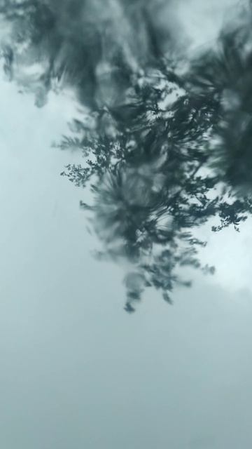Я вижу и слышу Дождь