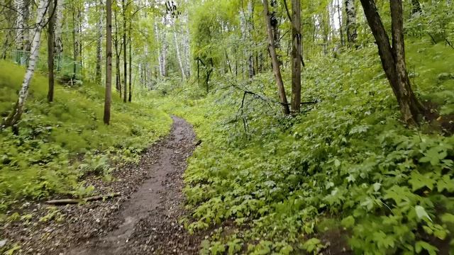 Пермь. Эко-тропа Егошиха. Мотовилиха-Свердловский район. Два кладбища и Храм Всех Святых.