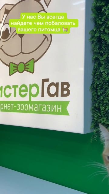 Лакомства: мясное пюре Award l «Мистер Гав» Челябинск #shorts