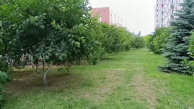 Недельный вязоблог 3. Бешеные каникулы.