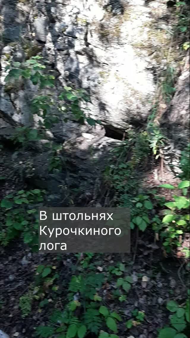 В штольнях Курочкиного лога