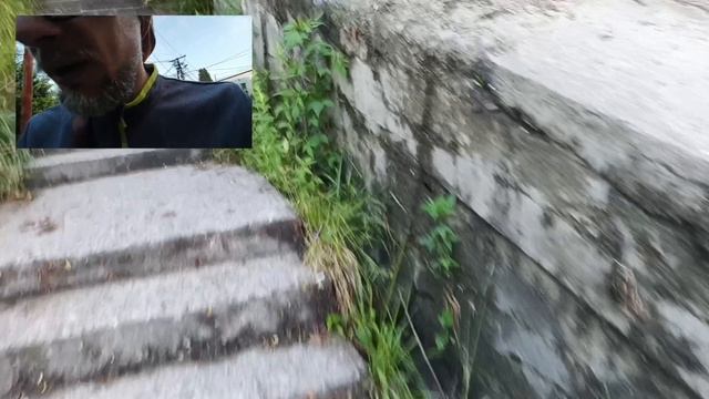 Сочи. Где живет тутовый шелкопряд! Сколько ступенек у самой высокой лестницы в Сочи?