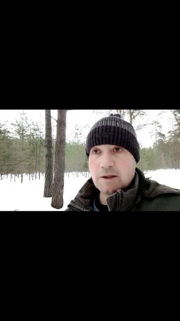 Прогулка в лесу, Загородный парк города Владимира зима 2026