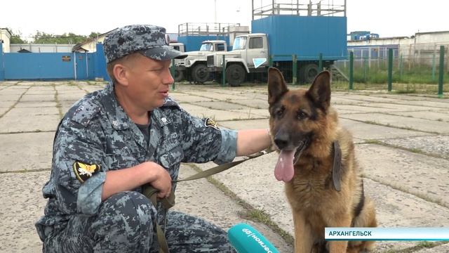 Телеканал Регион 29_День кинолога УФСИН Поморья