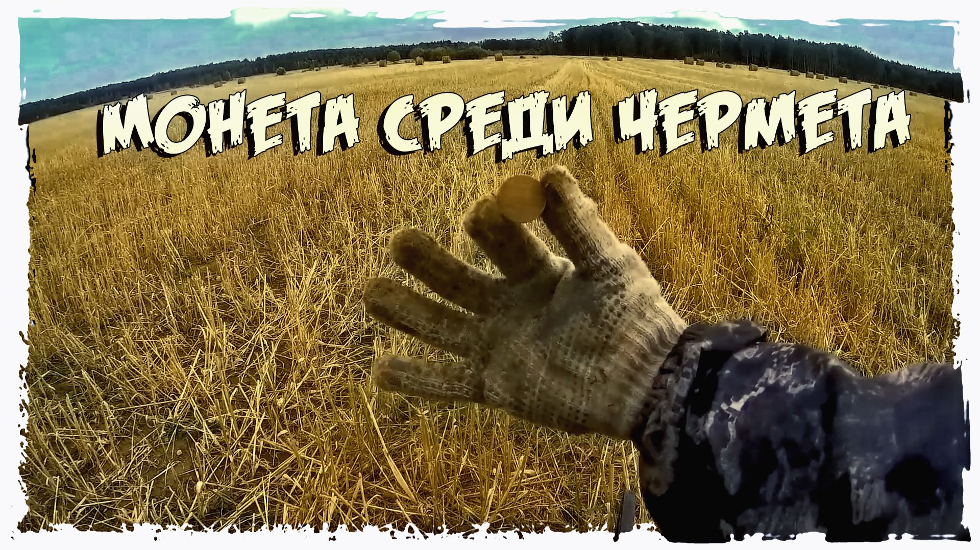 ПОИСКИ КЛАДОВ "МОНЕТА СРЕДИ ЧЕРМЕТА"
